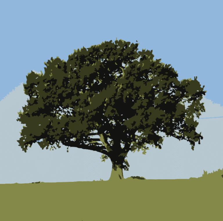 The Village – Braishfield